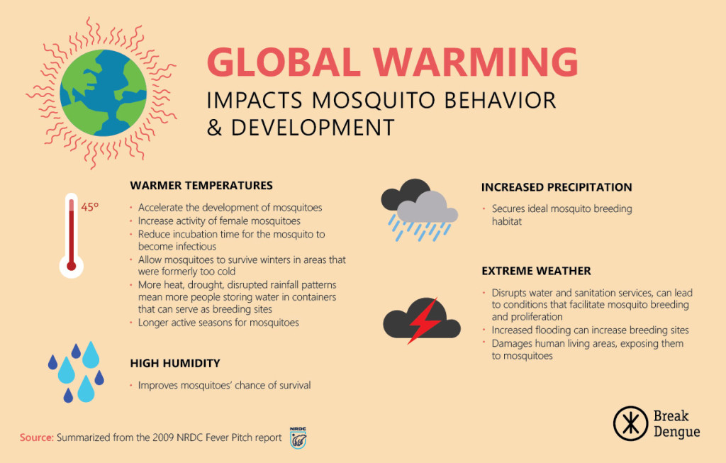 Understanding the impact of global warming on the spread of dengue ...
