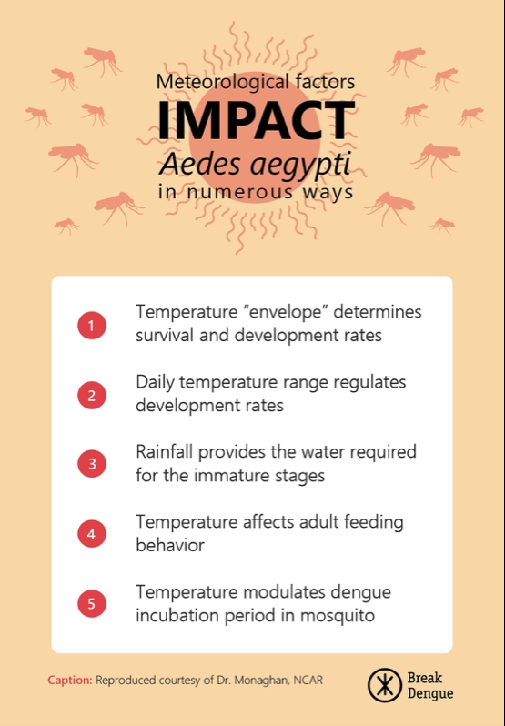 Study: Modeling the impact of climate change on dengue · Break Dengue